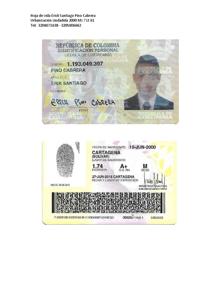 Hoja de Vida de Erick Pino Cabrera | PDF