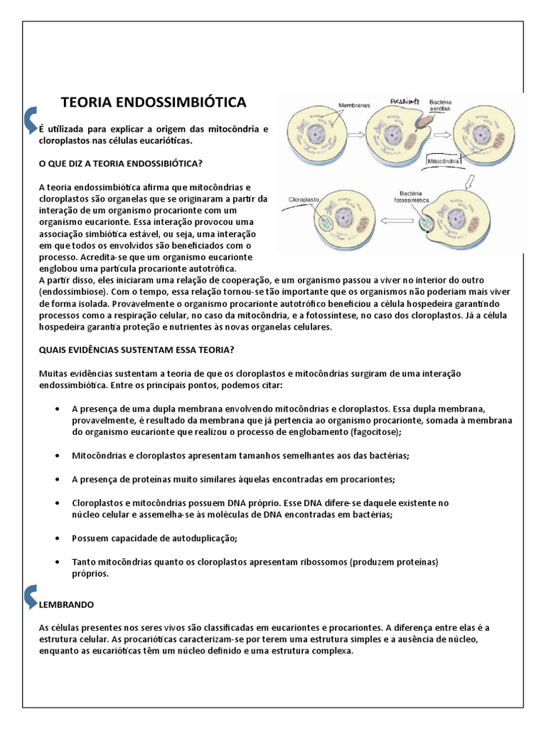 Teoria Endossimbiotica 3 Bimestre | PDF