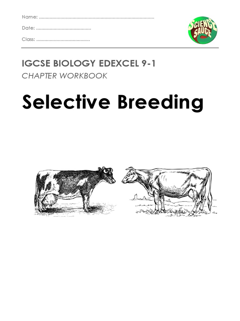 Selective Breeding | PDF | Selective Breeding | Plant Breeding