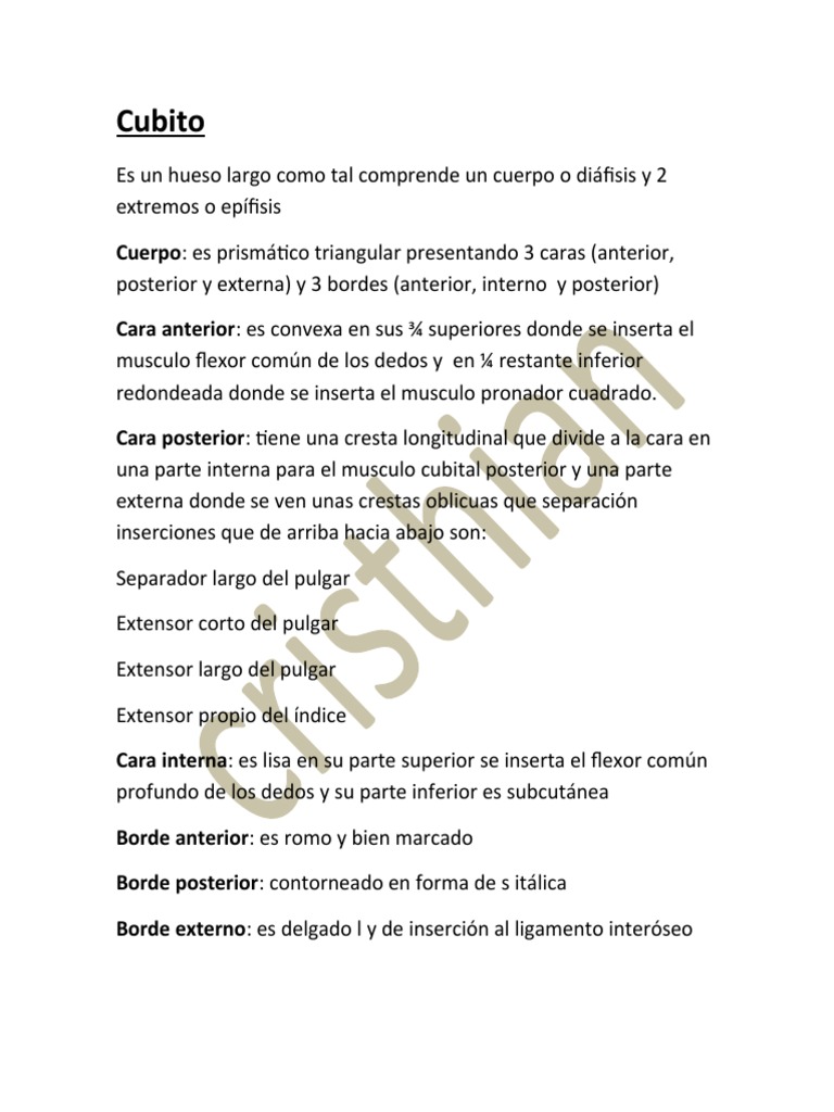 Anatomía del Cubito y Radio: Estructura y Funciones | PDF ...