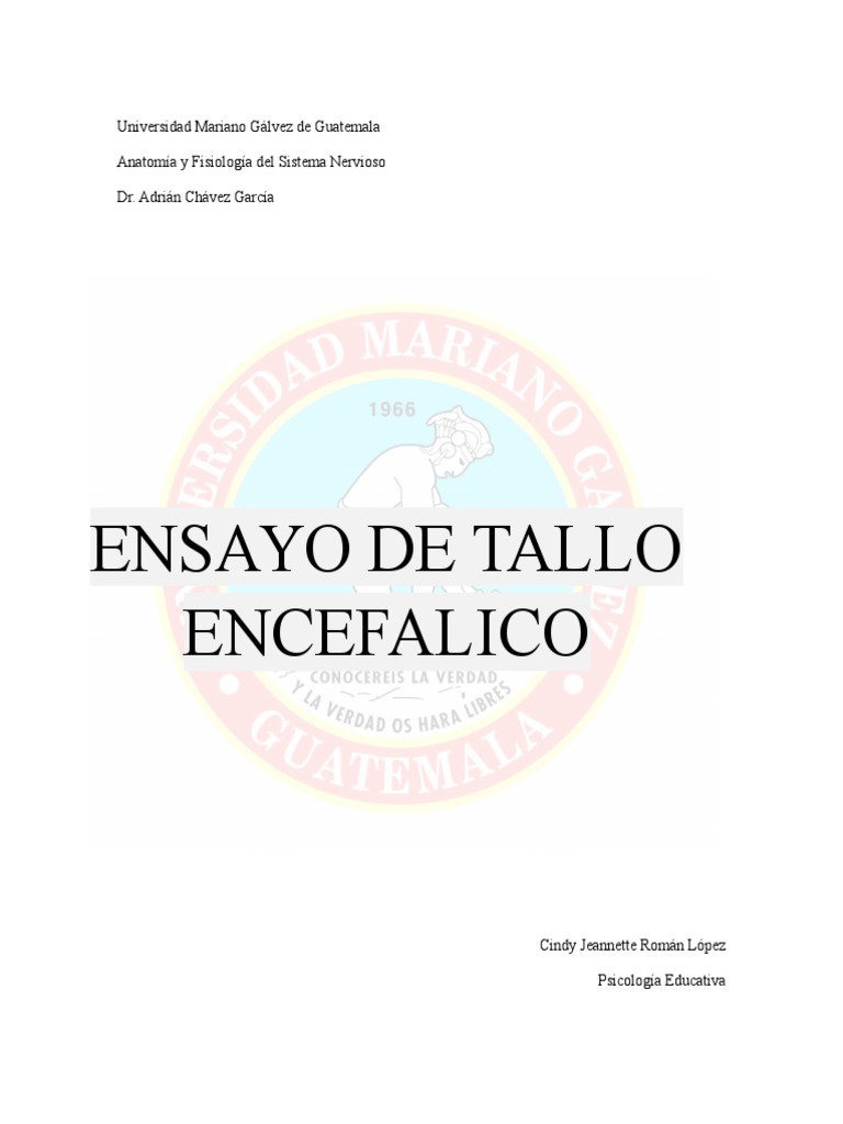 Ensayo de Tallo Encefalico | PDF | Neurociencia | Anatomía