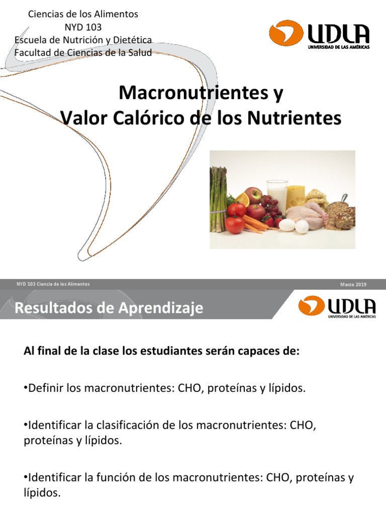 Macronutrientes: Guía para Estudiantes | PDF | Carbohidratos | Polisacárido