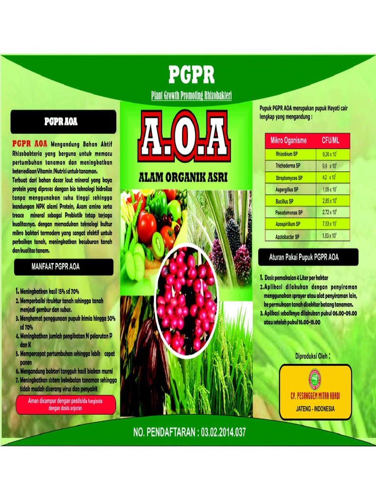 02. Brosur PGPR AOA | PDF
