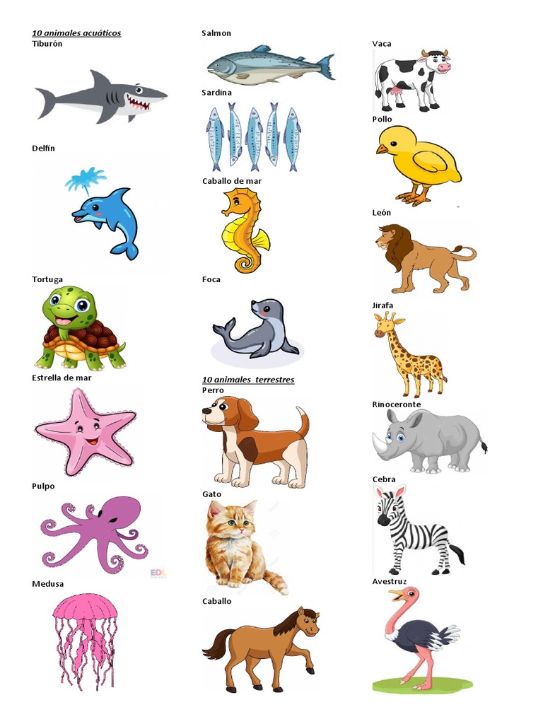 10 Animales Acuáticos | PDF