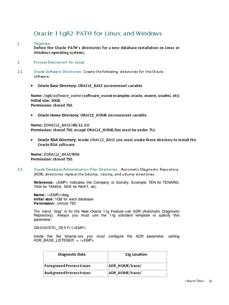 Oracle 11gR2 - Database PATH Guideline | Download Free PDF | File System | Databases