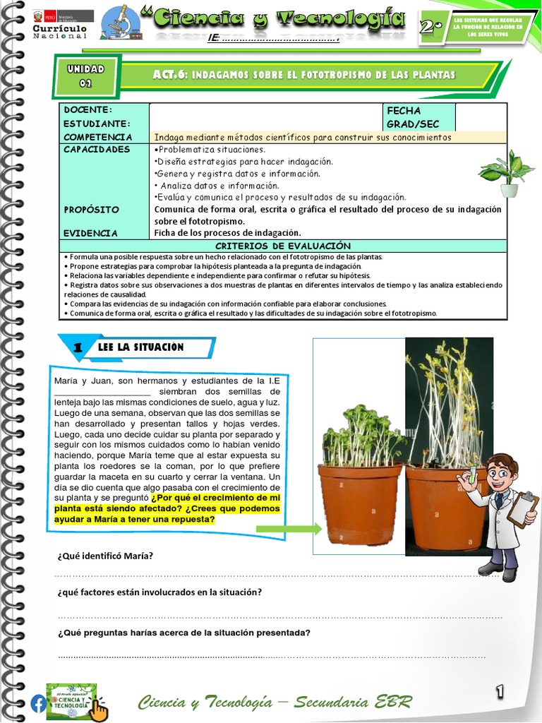 E-2º Act 6 Cyt Unid 2 - Sem 5 | PDF