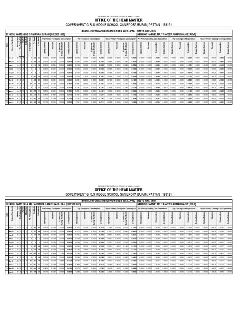 MDM Balance Sheet New | PDF