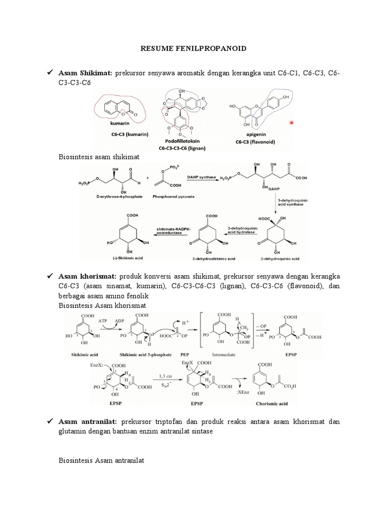 KOBA B - Tugas Resume 2 Fenil Propanoid | PDF | Memasak, Makanan ...