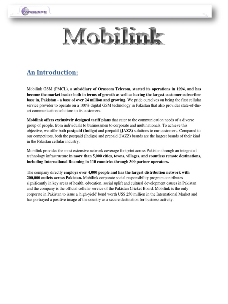 Mobilink Project | PDF | Recruitment | Franchising