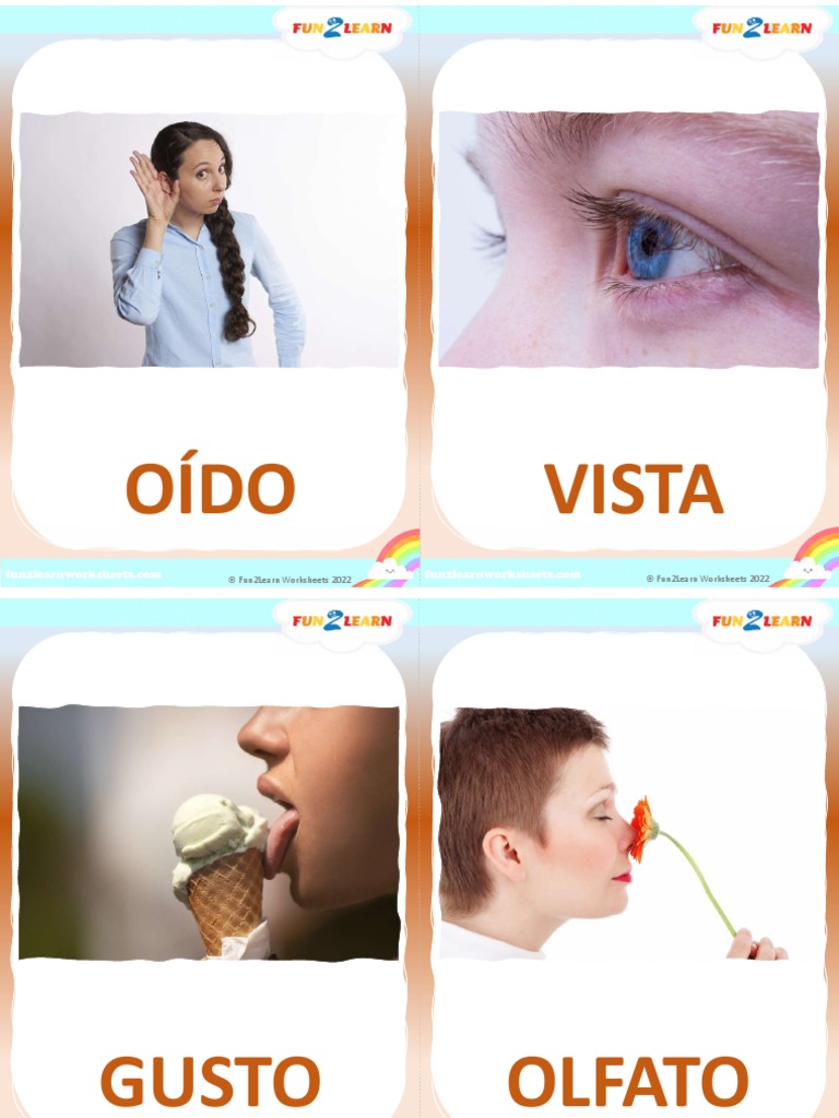 SPANISH 5 SENSES FLASHCARDS Tacto Oido Gusto Olfato Vista f2l | PDF