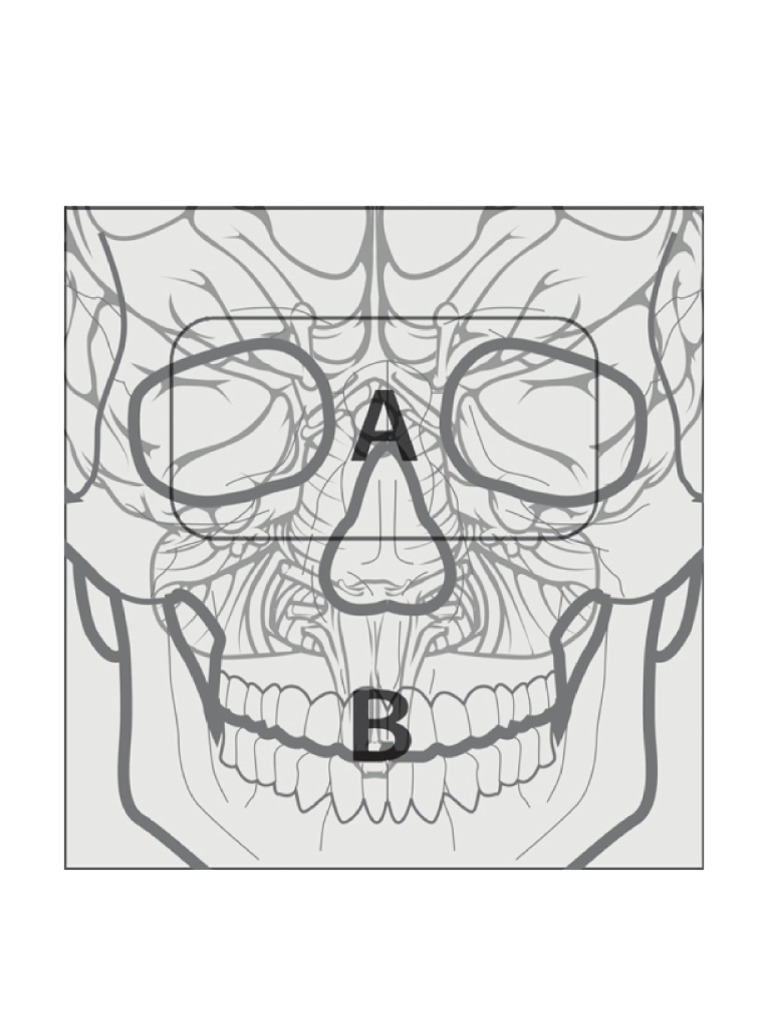 Printable Targets KillZone | PDF