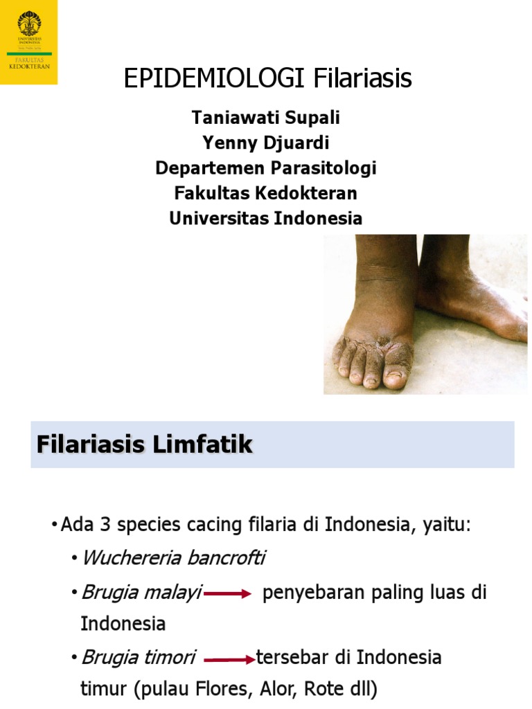Epidemiologi Filariasis di Indonesia | PDF