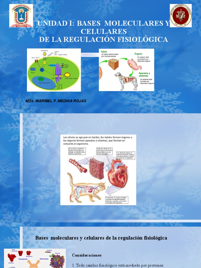 Regulación Fisiológica: Proteínas y Funciones | PDF | Ciencia y matemáticas