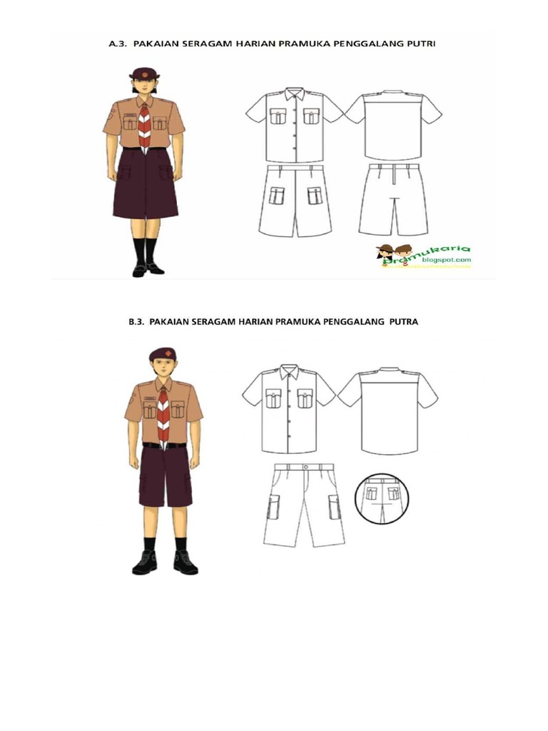 Contoh Pakaian Seragam Pramuka Penggalang Putri Dan Putra | PDF