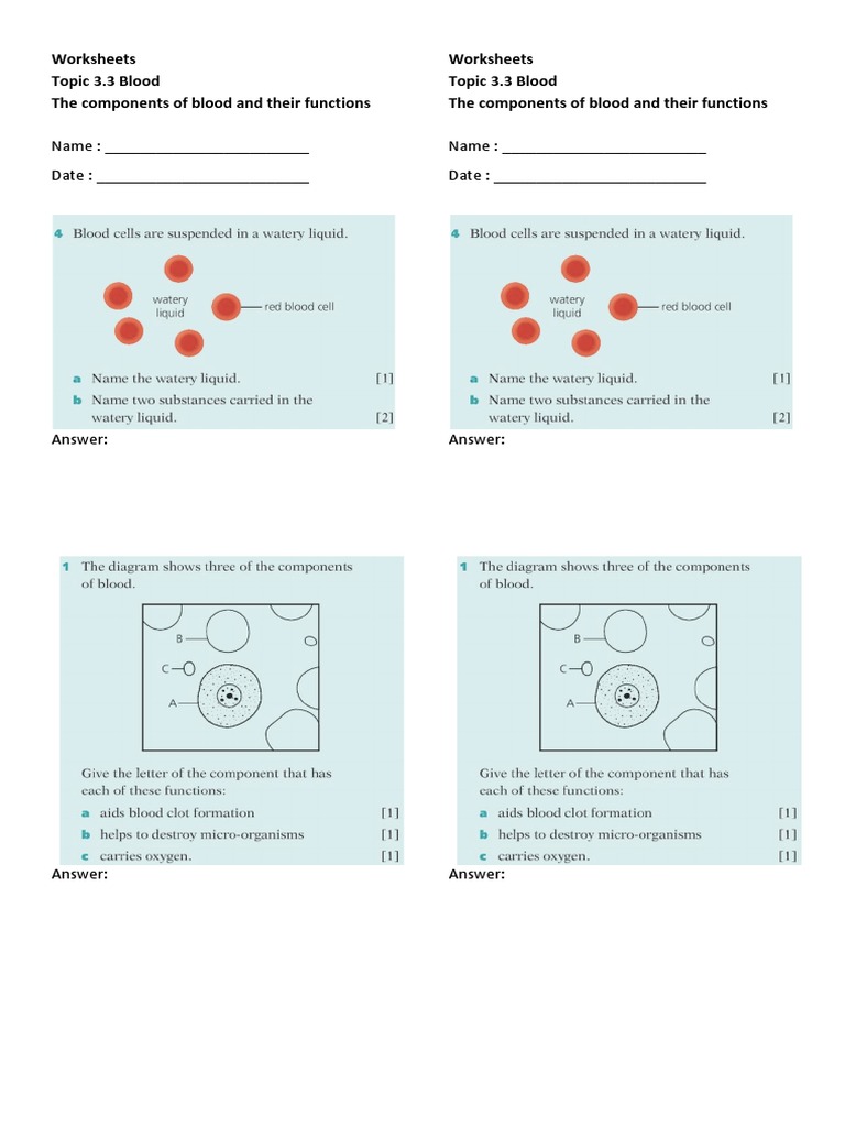 Blood Worksheets S2 | PDF | Law