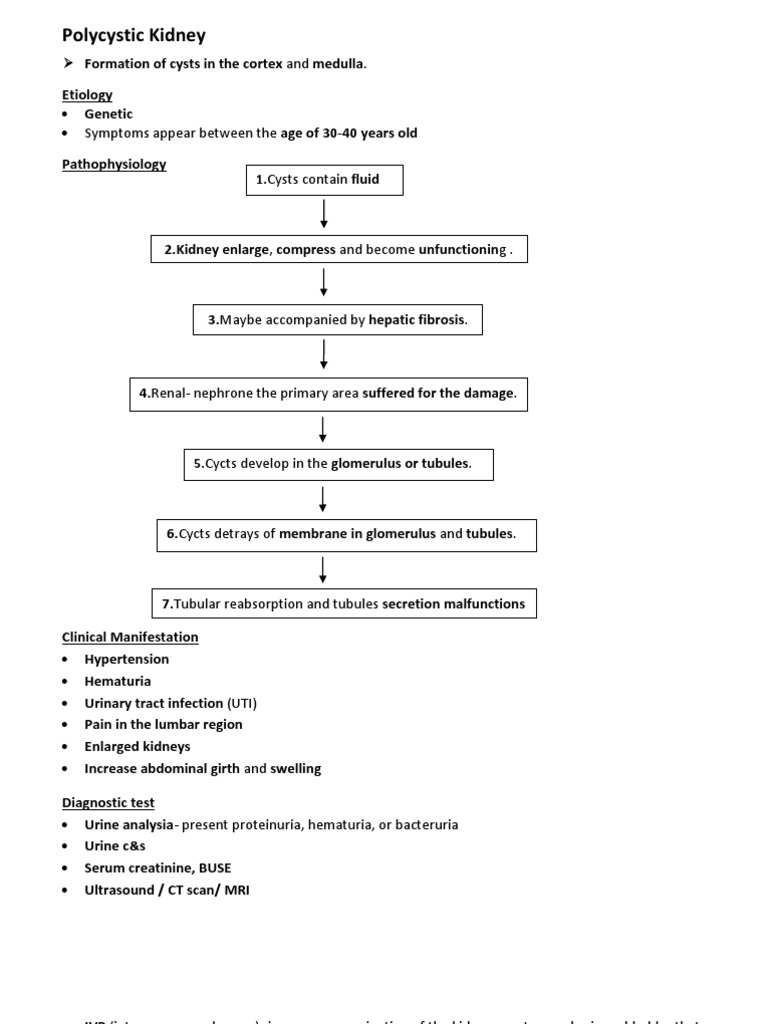 Polycystic Kidney: Formation of Cysts in The Cortex and Medulla | PDF ...