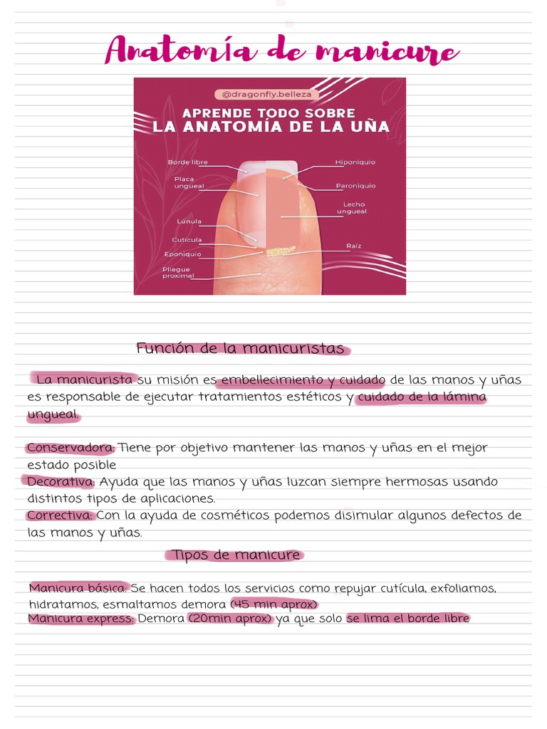 Sin t%C3%ADtulo | PDF