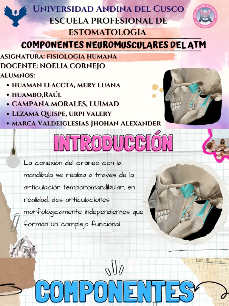 Escuela Profesional de Estomatologia: Universidad Andina Del Cusco ...