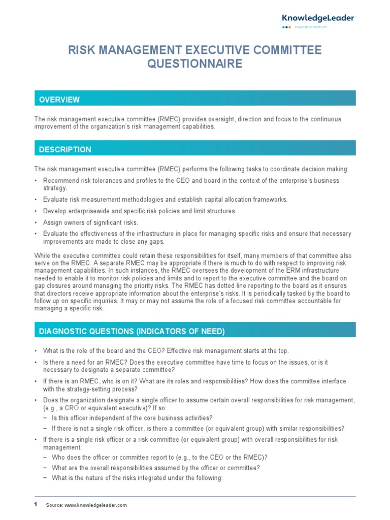 Risk Management Executive Committee Questionnaire | PDF