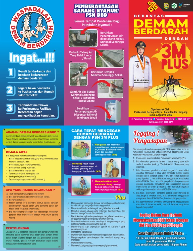 3 - Leaflet Demam Berdarah | PDF