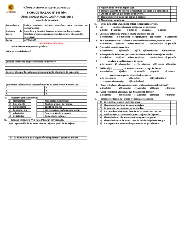 FICHA 7 DE CTA 2do | PDF