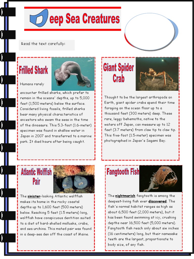 Deep Sea Creatures and Their Habitats | PDF