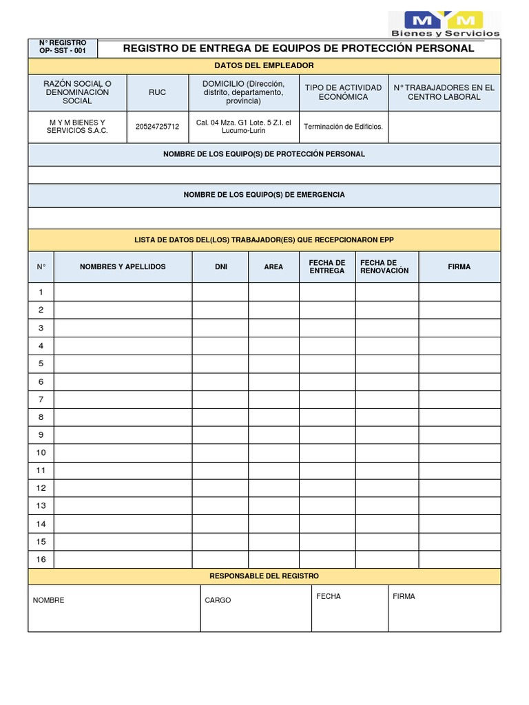 Registro de Entrega EPP | PDF