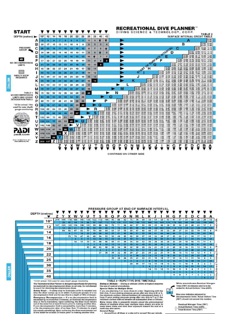 RDP Table Metric | PDF
