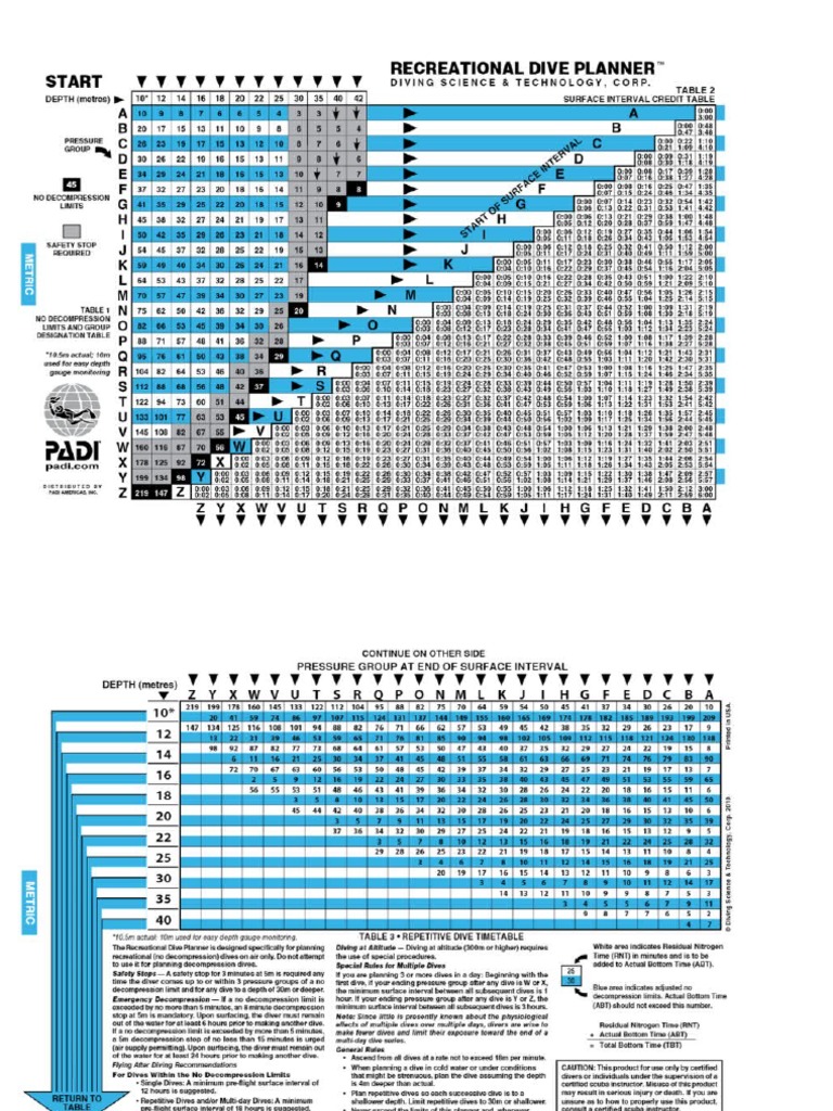 RDP table Metric | PDF