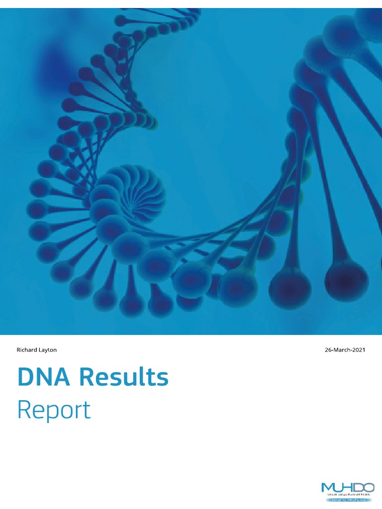 Report Muhdo | PDF