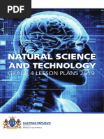 Platinum Social Sciences Grade 4 | PDF