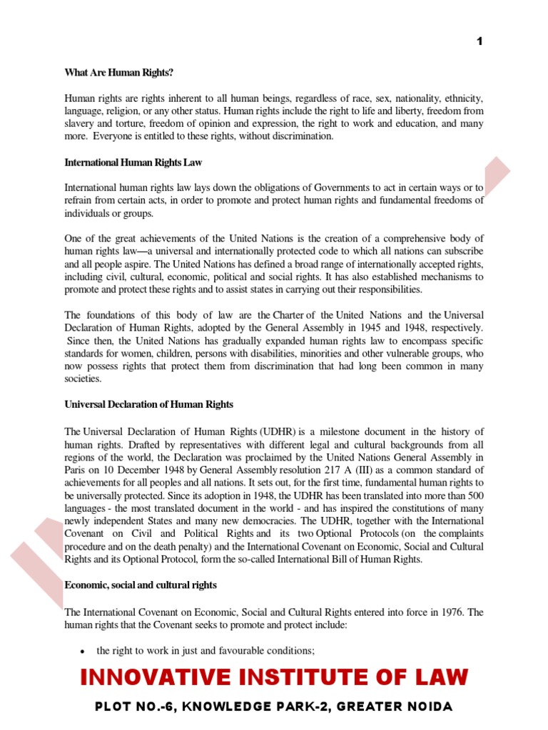 Human Rights in International Law | PDF