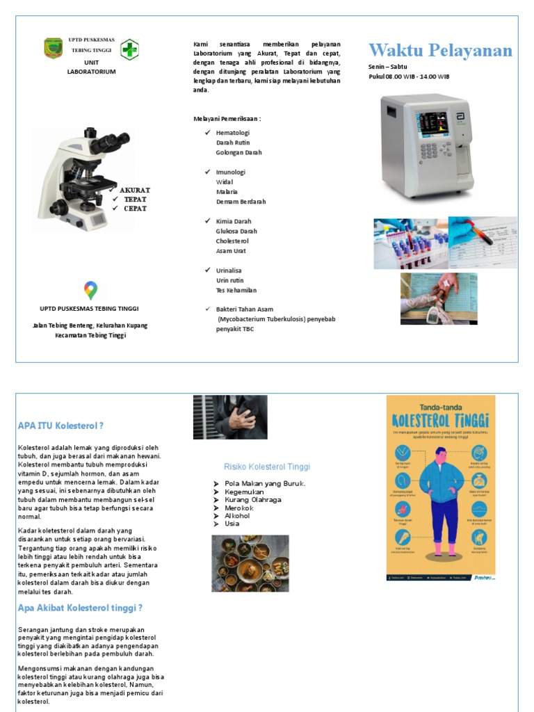 Leaflet Pemeriksaan Kolesterol | PDF | Sains & Matematika
