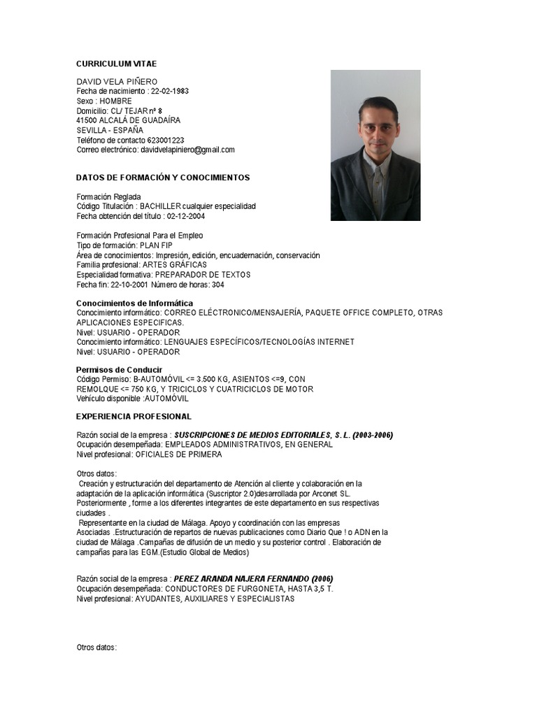 Curriculum David Vela Piñeros | PDF | Tecnologías de la información | Informática