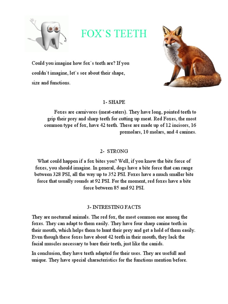 Fox'S Teeth | PDF