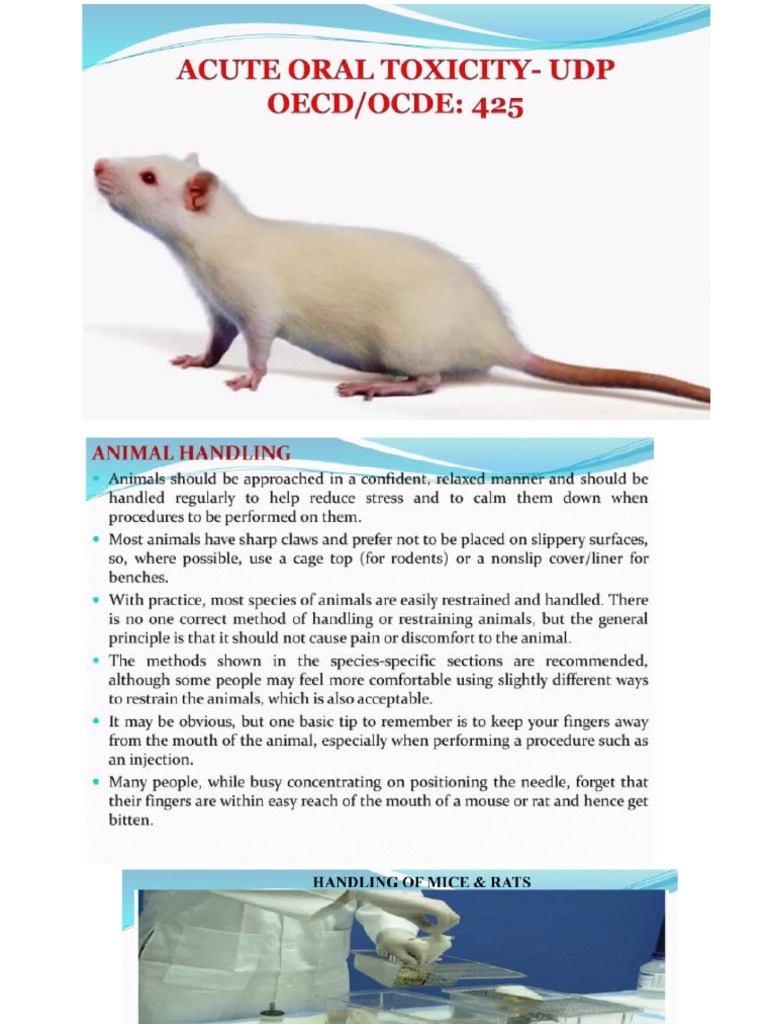 OECD 425 Test | PDF