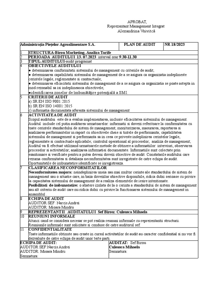 Plan de Audit Marketing | PDF