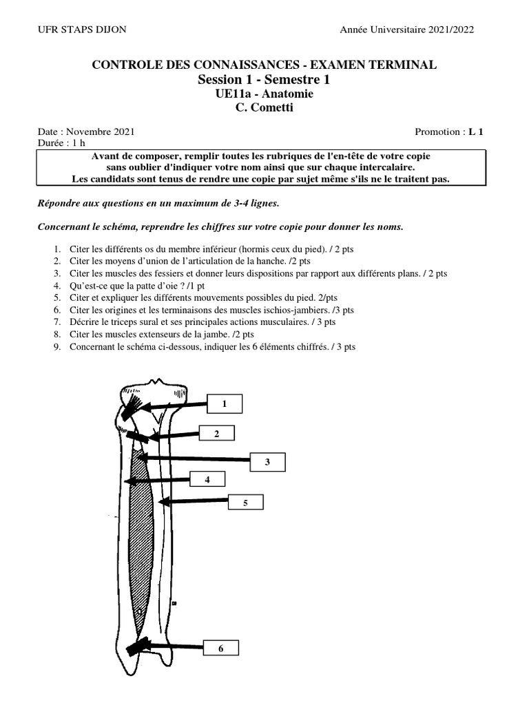Annales L1 2021 2022 | PDF | Méthodes et références pédagogiques ...