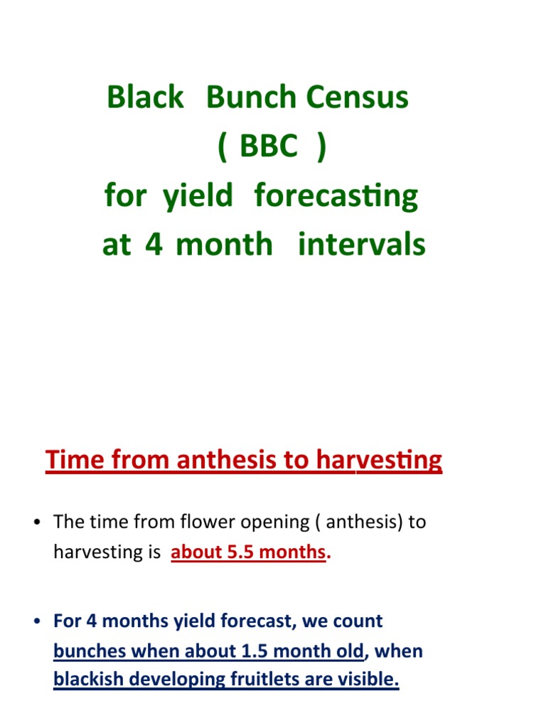 Black Bunch Census at 4 Month Intervals | PDF