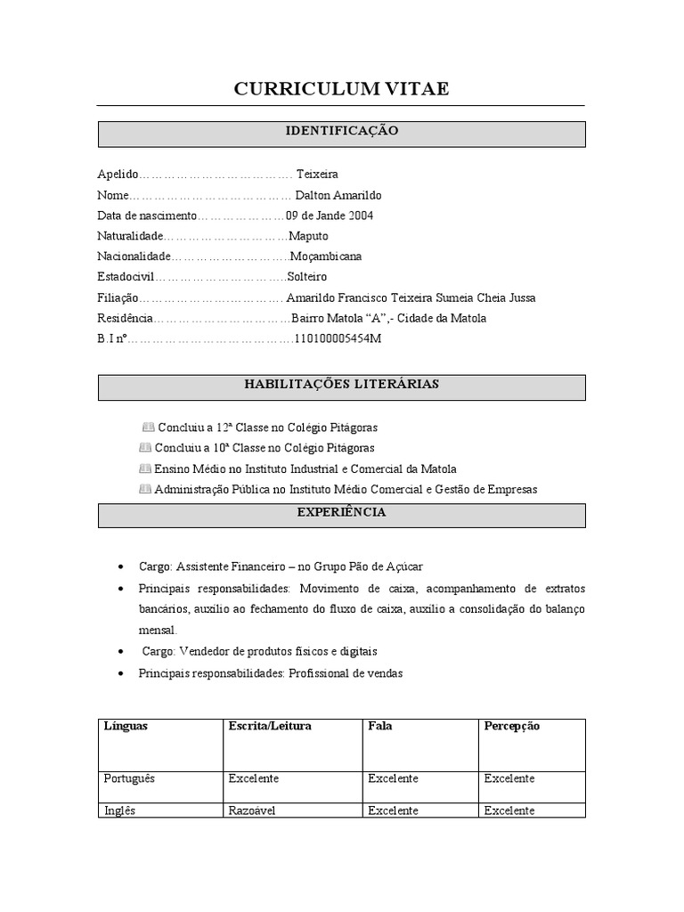 Modelo de Curriculum r2 | PDF