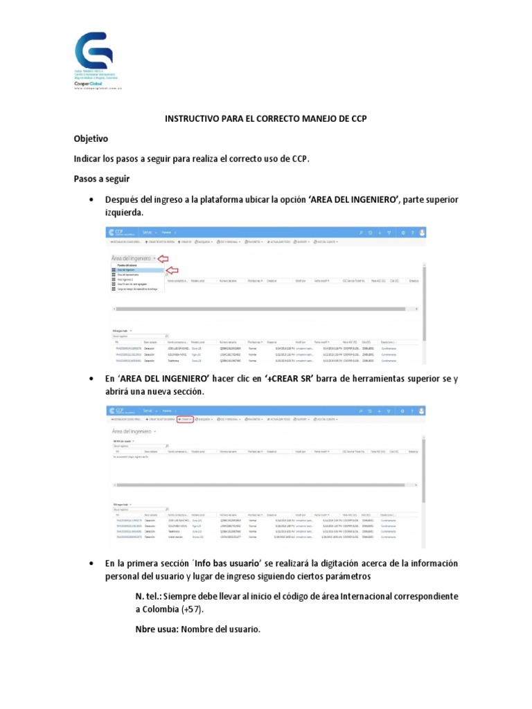 Manual CCP | PDF | Ingeniería Informática | Ingeniería de software