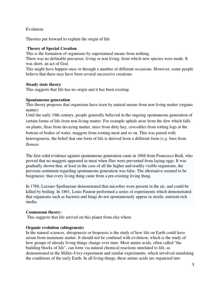 A Level Evolution Notes | PDF