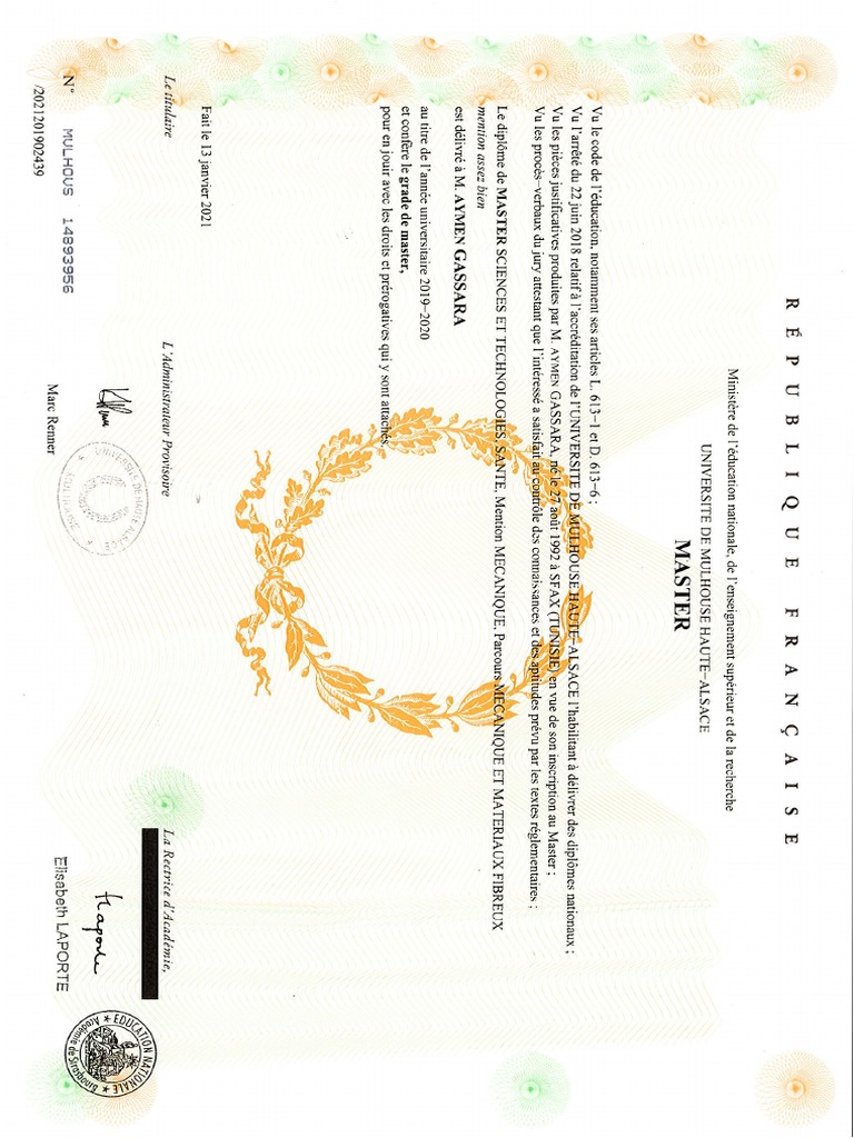 Diplôme Master MMF | PDF