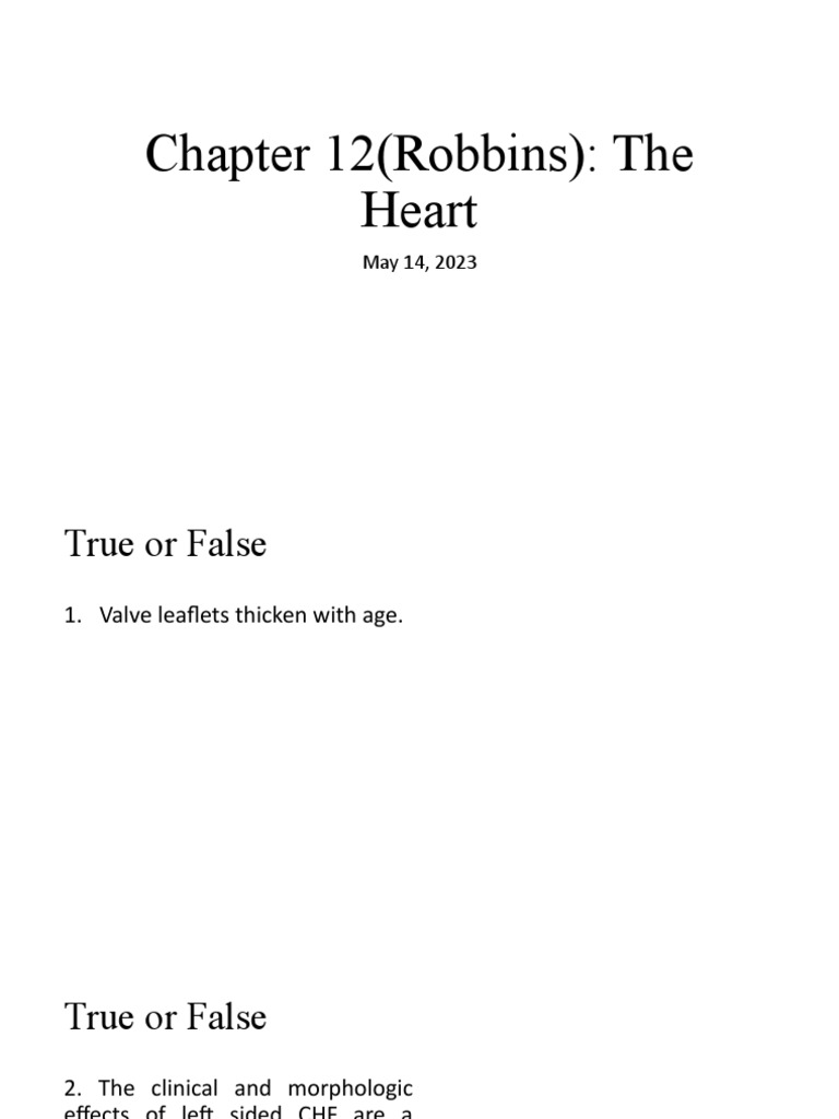 Chapter 12 Heart Questions | PDF