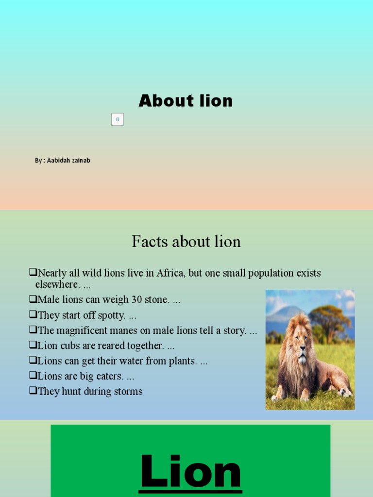 Lion Audio | PDF