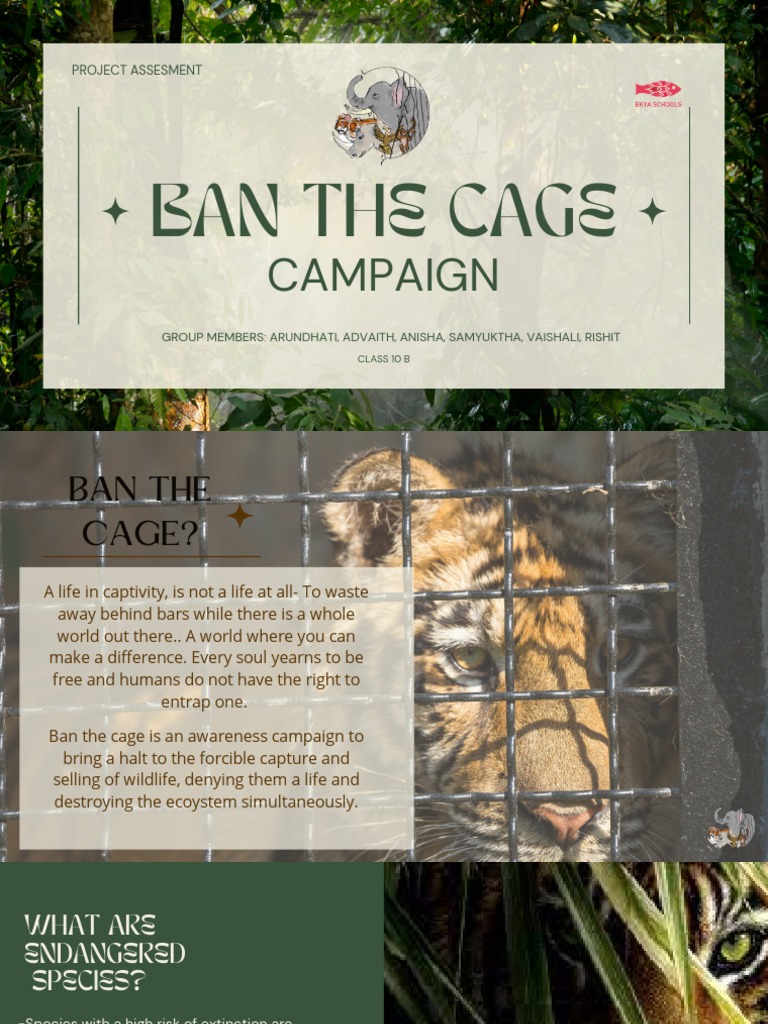 Ban The Cage | PDF | Endangered Species | Wildlife