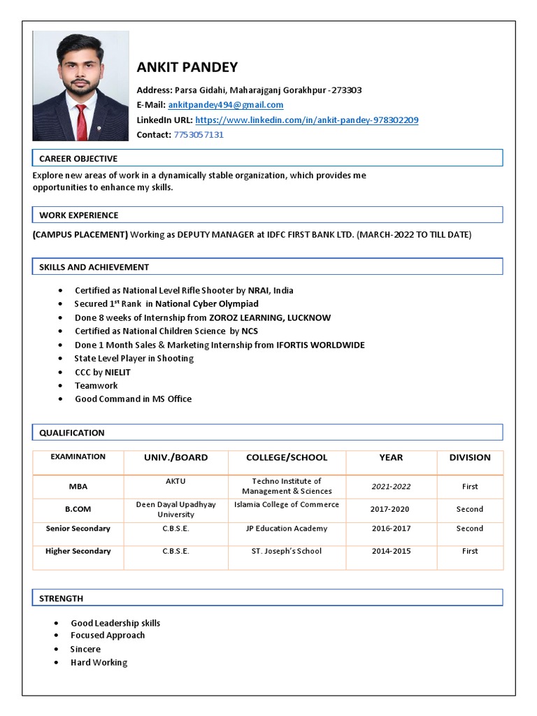 Ankit Pandey CV Updated | PDF