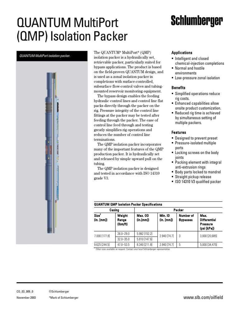 Quantum MultiPort Isolation Packer | PDF | Gas Technologies | Chemical ...