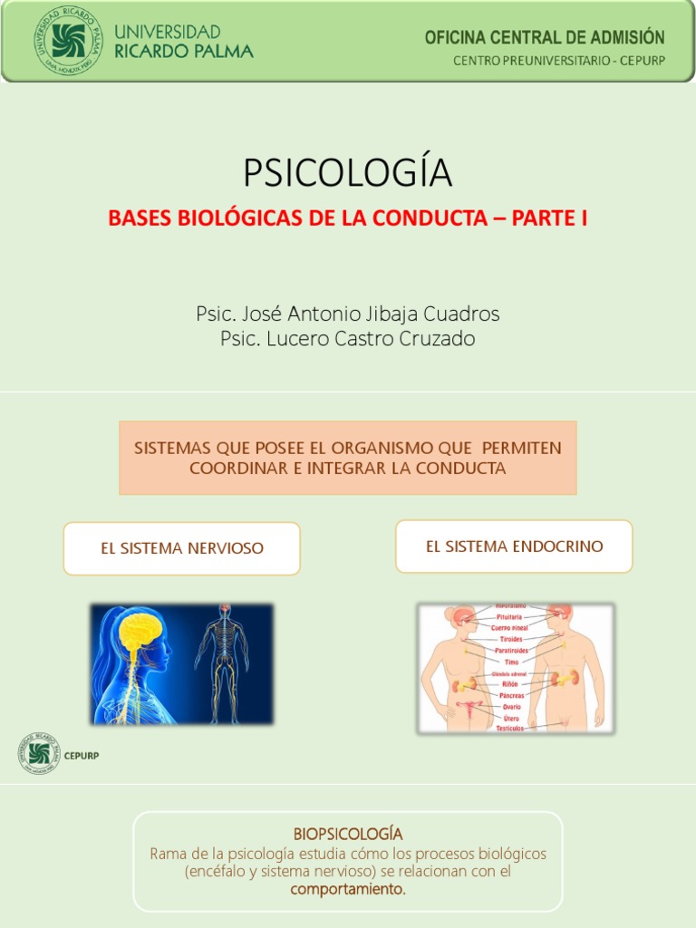 Sem 3 Bases Biologicas De La Conducta Parte 1 Urp Descargar