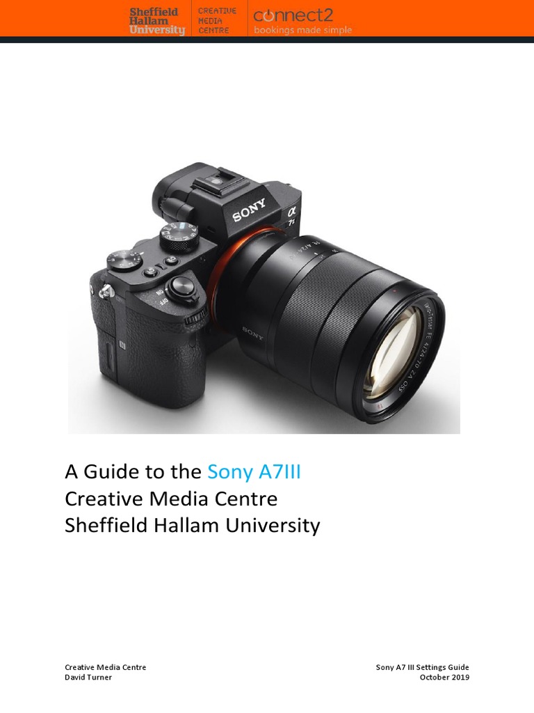 Sony A7III Settings Guide | Download Free PDF | Autofocus | Exposure ...